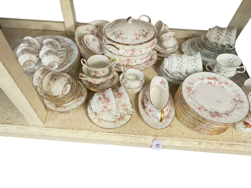 Collection of Paragon Victorian Rose, Debutante, etc. | Thomas Watson